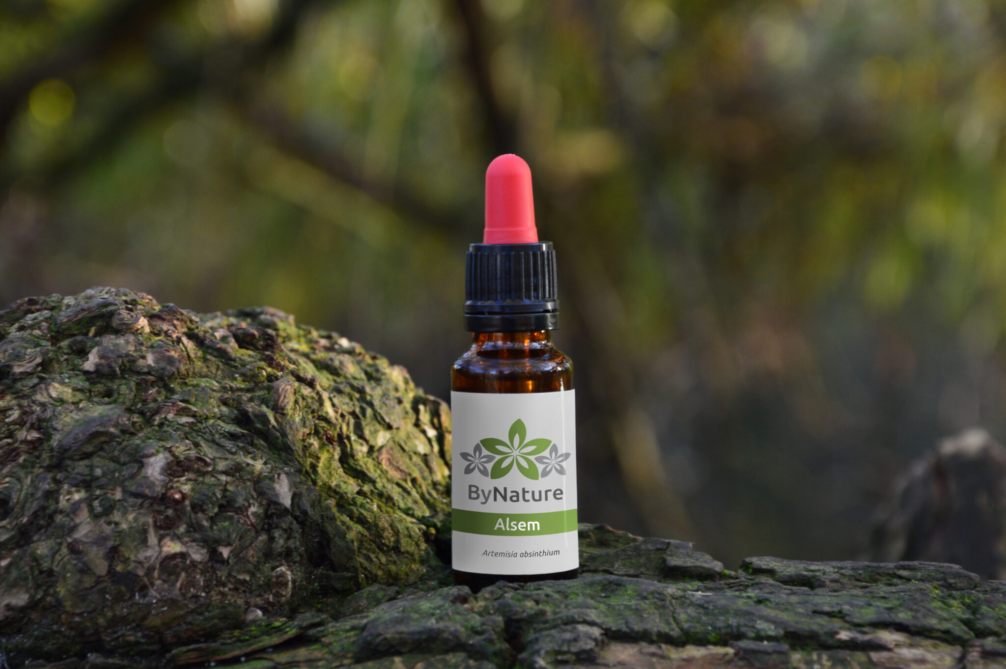 Alsem | bloesemwinkel.nl